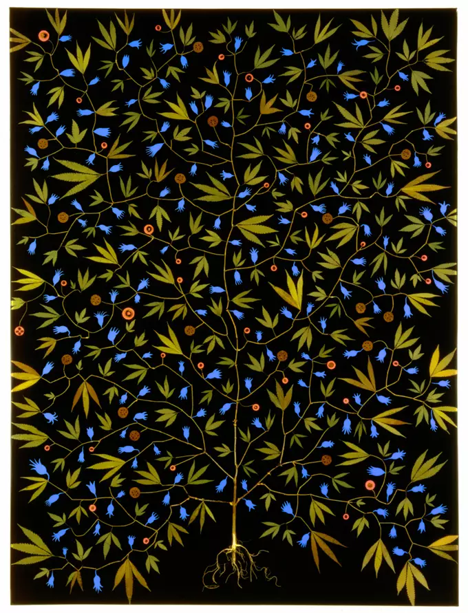 Fred Tomaselli, Super Plant (1994). Foto: S láskavým dovolením James Cohan Gallery, New York.