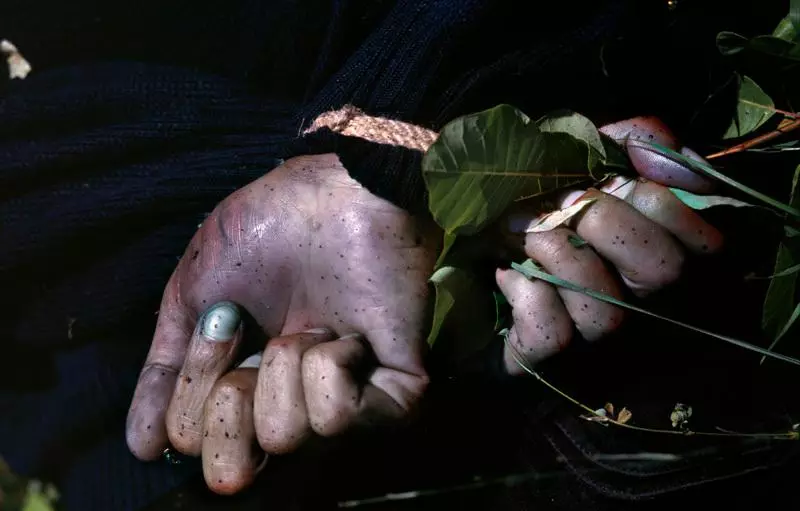 PJ Harvey & Seamus Murphy, The Hands of a Man henrettet i Bernjake/Brnjaka, mellom Fortese/Bela Crkva og Rahovec/Orahevac, i juni 1999. Foto med tillatelse av artistene og Les Recontres d'Arles.