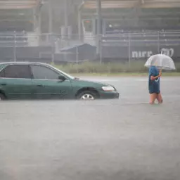 NEH obećava milion dolara umjetničkim organizacijama koje je Harvey povrijedio 28027_3