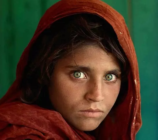 Il gallerista si dichiara colpevole per il furto di una ragazza afgana -