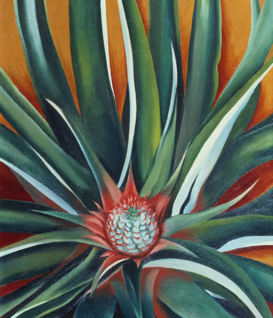 Georgia O'Keeffe, Pineapple Bud (1939). Ngenhlonipho yeqoqo eliyimfihlo, © 2018 Georgia O'Keeffe Museum/Artist Rights Society (ARS), New York.