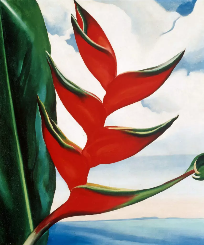 Georgia O'Keeffe, Heliconia, Xhenxhefili i kthetrave të Gaforres (1939). Me mirësjellje të Sharon Twigg-Smith, © 2018 Georgia O'Keeffe Museum/Shoqëria e të Drejtave të Artistëve (ARS), Nju Jork.