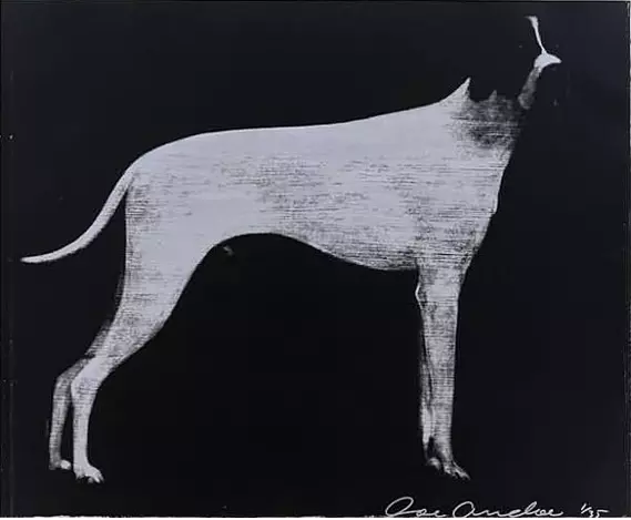 Joe Andoe, Large Dog (Graphite on Silver) (1998) 10-kleuren zeefdruk (editie 35) 40 x 48 inch. Foto: met dank aan de kunstenaar en Lococo Fine Art Publisher.