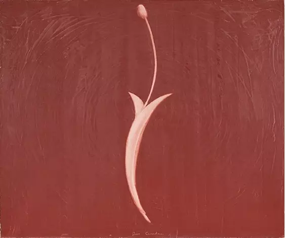 Joe Andoe, Untitled (tulip) (1989) ലിനൻ 40 x 48 ഇഞ്ച് എണ്ണ. ഫോട്ടോ: ബൈറോൺ കോഹൻ ഗാലറിയുടെ കടപ്പാട്.