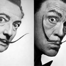 Philippe Halsman، Salvador Dalí (1954)، اور جان مالکووچ کے ساتھ سینڈرو ملر کا ورژن۔