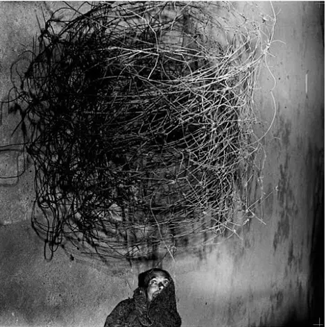 Roger Ballen, Twirling Wires