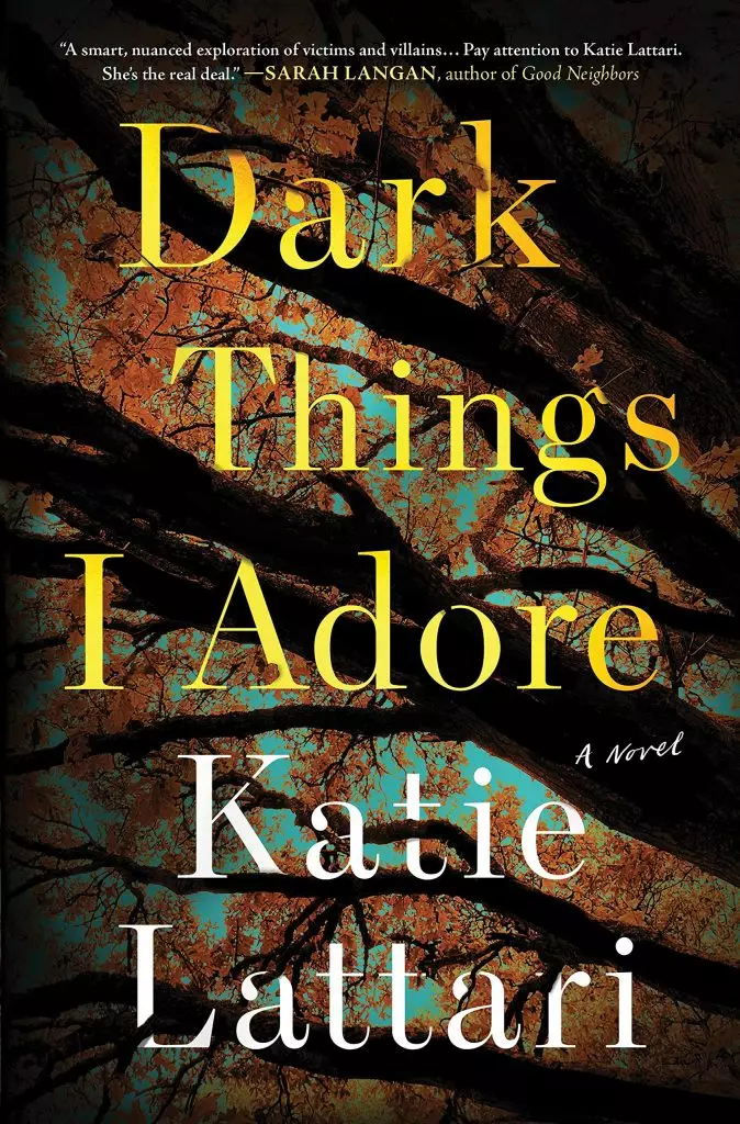 Dark Things I Adore vum Katie Lattari. Ugedriwwe vun Source Books.