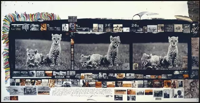 Triptik òfelen Cheetah pa Peter Beard