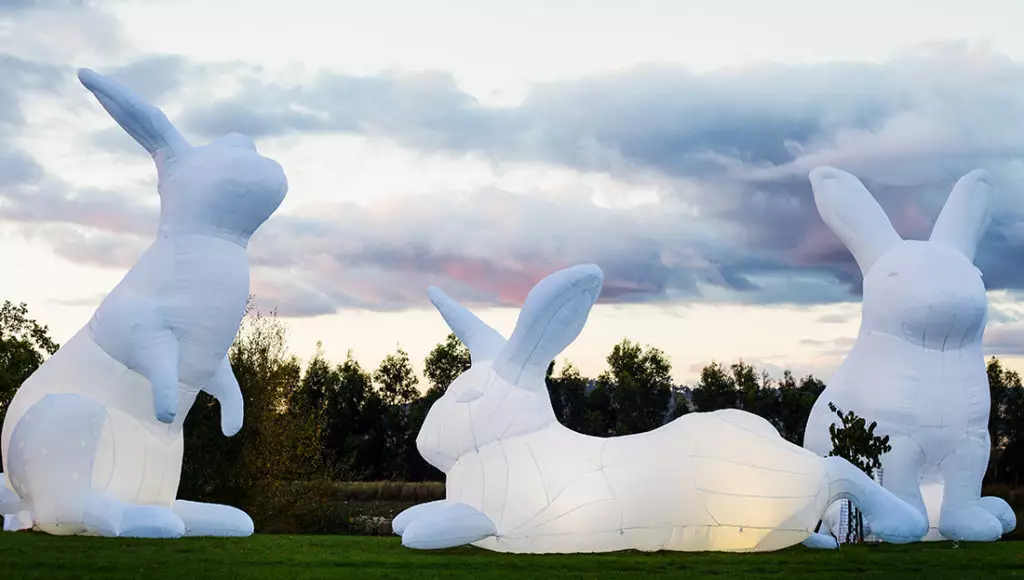 Amanda Parer, Interlude. Ifoto: Amanda Parer.