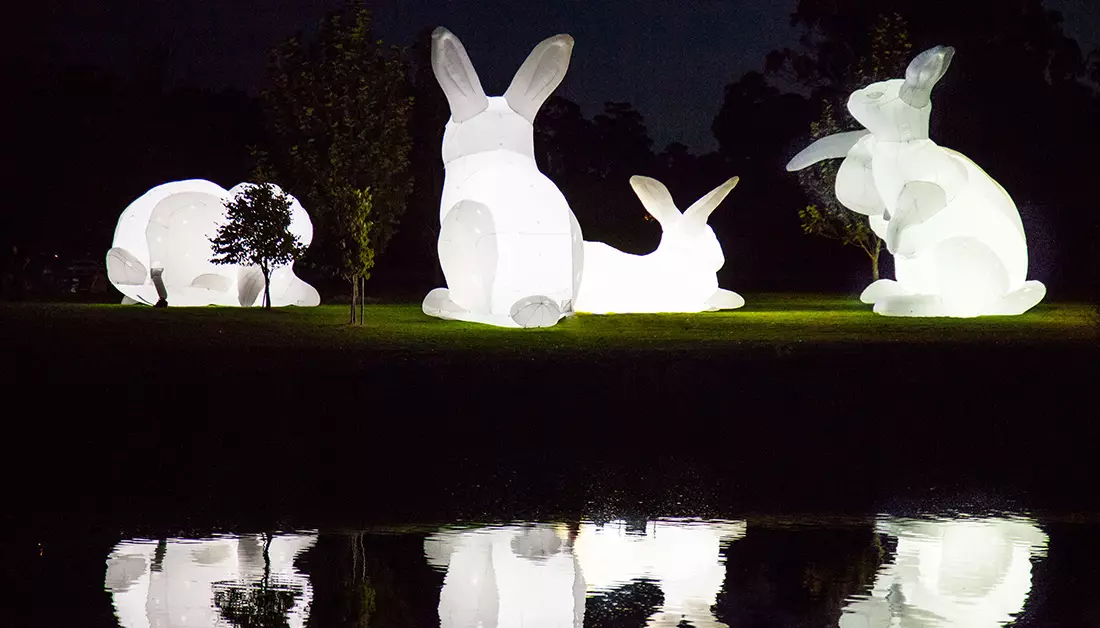 Amanda Parer, Tussenspel. Foto: Amanda Parer.