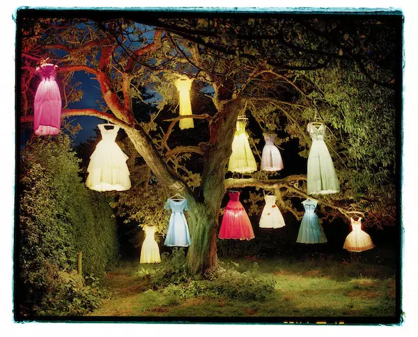 Tim Walker, The Dress Lamp Tree, Inghilterra (2004) Foto: Courtesy Museo Thyssen-Bornemisza