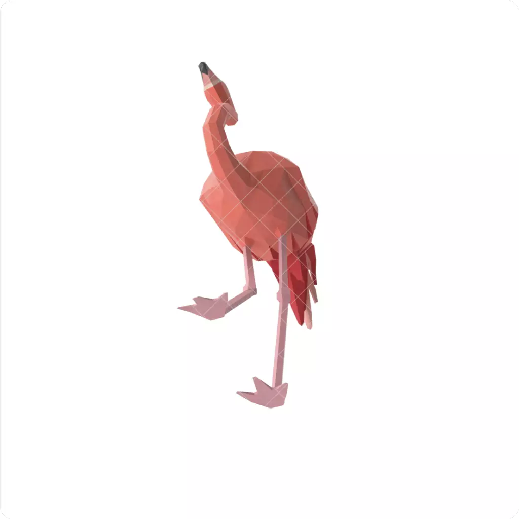 Wêne: Ji Flamingo DAO