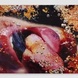 artnet Asks- Marilyn Minter က သူ့ကိုယ်သူ ဓာတ်ပုံအစားထိုးသူလို့ ခေါ်တယ်။ 33794_3