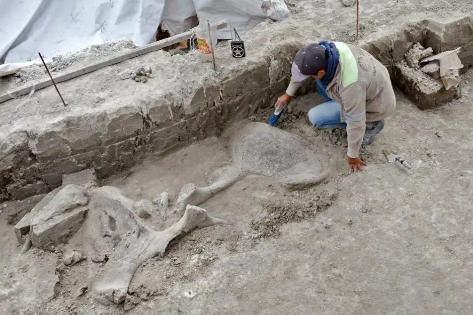 Mammoetbotten ontdekt in Tultepec, buiten Mexico-Stad. Afbeelding met dank aan Mexico's Nationaal Instituut voor Antropologie en Geschiedenis.