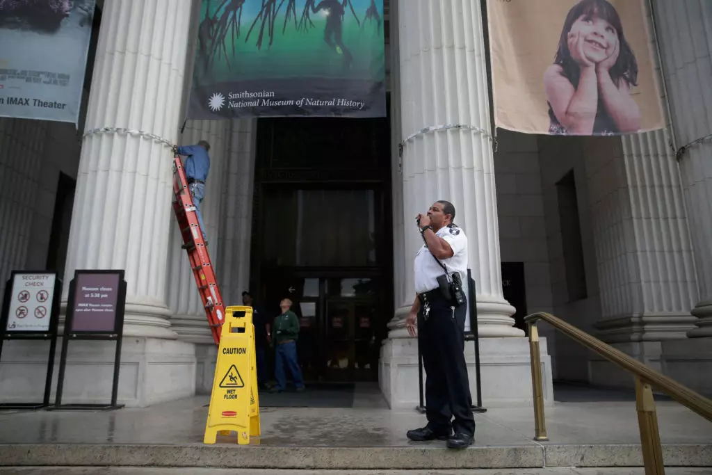 Cerdevanek li Muzeya Neteweyî ya Dîroka Xwezayî ya Smithsonian. Wêne ji hêla Chip Somodevilla / Getty Images.