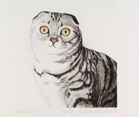 لدينا 15 #MuseumCats المفضلة 37305_1