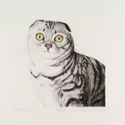 لدينا 15 #MuseumCats المفضلة 37305_9