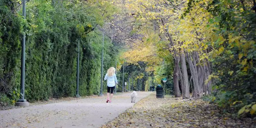 Даллас сәнгать ярминкәсе 2018: Кайда ашарга, эчәргә, кибеткә һ.б. 37431_6