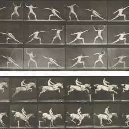 Eadweard Muybridge, Studi Gerak Terpilih (1887).