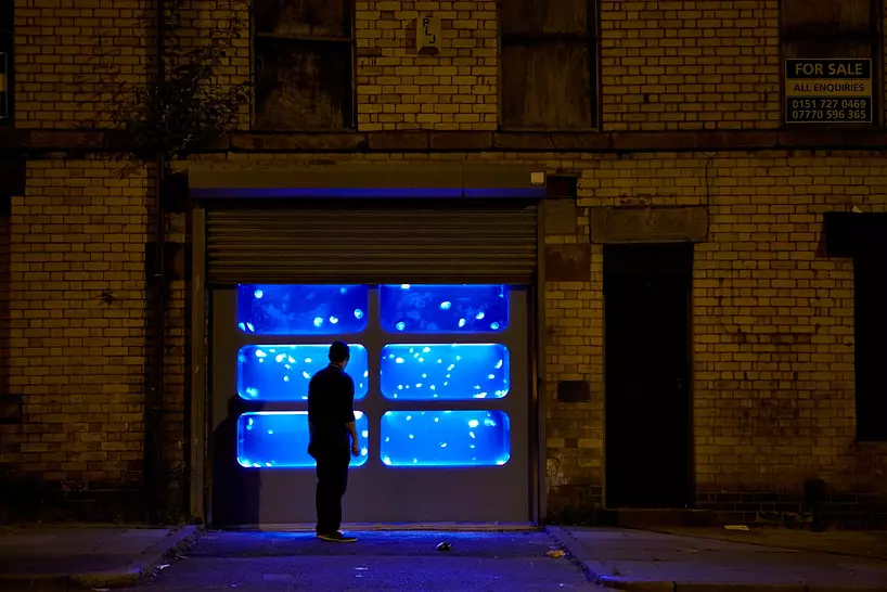 Õudne Jellyfish Installation valgustab Liverpooli ööd