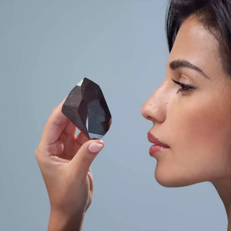 Ang Enigma, isang 555.5-carat na Black Diamond. Sa kagandahang-loob ng Sotheby's.