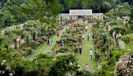 Susan Wides, Brooklyn Bridge Garden [2012년 6월 10일]