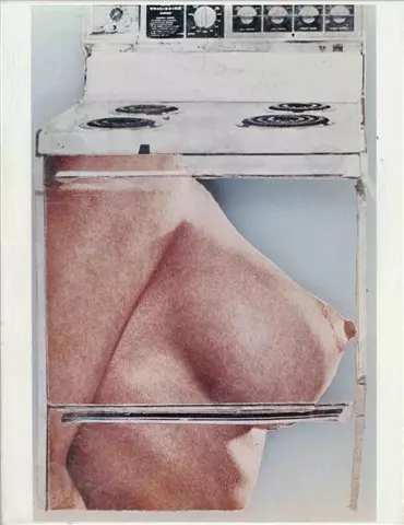 Corpul frumos, sau Beauty Knows No Pain (Carne fierbinte) de Martha Rosler