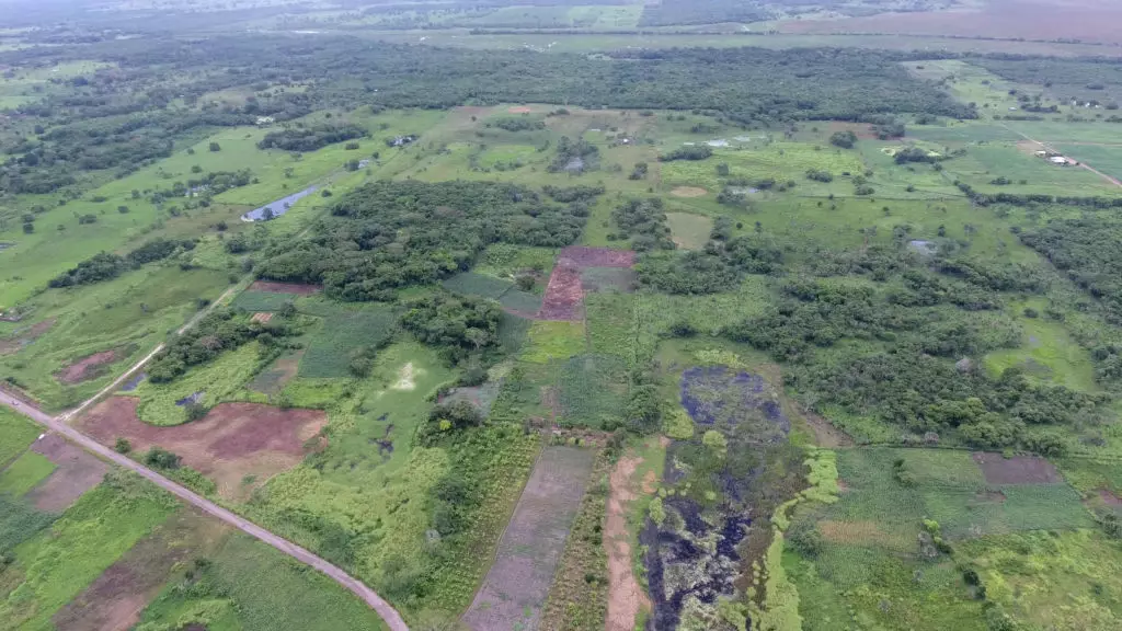 Arqueólogos descobriram o maior monumento maia, e parece ter sido construído pelo povo, para o povo 5163_6