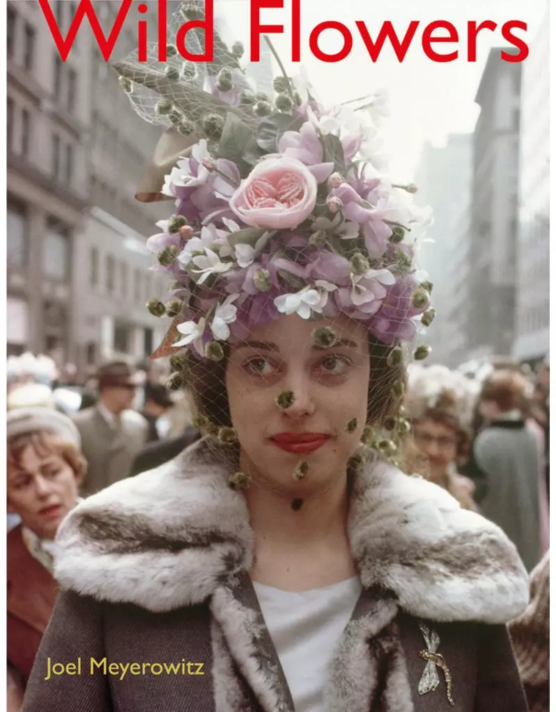 Blodau Gwylltion Joel Meyerowitz. © Joel Meyerowitz. Trwy garedigrwydd Rizzoli.