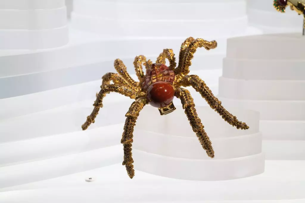 Ĉi tiu tarantula broĉo estis parto de serio de best-temoitaj juveloj kreitaj de la familia germana firmao Hemmerle inter 1979 kaj 1996. La natura 111,76-karata bruna ĉevalkonkoperlo en la malantaŭa segmento de la tarantulo verŝajne estas unu el, se ne la plej grandaj naturaj ĉevalkonkoperloj en la mondo. Foto de D. Finnin ©Amerika Muzeo pri Natura Historio.