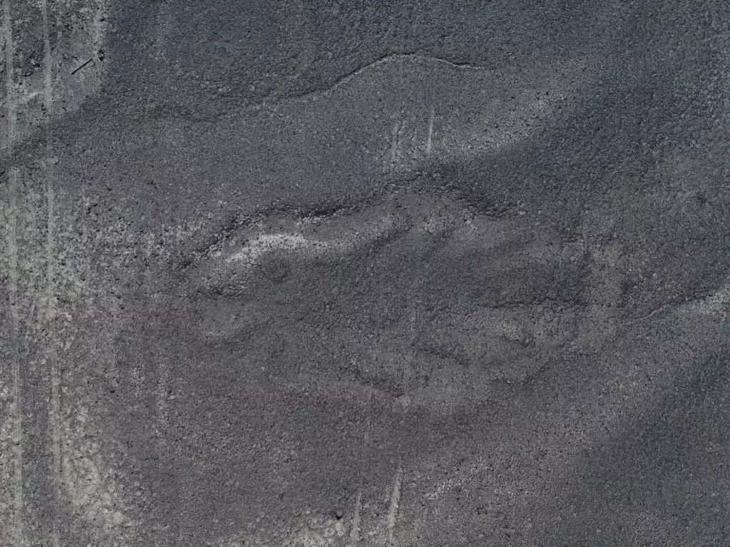 Emoji të lashtë? Arkeologët kanë zbuluar linja të reja epike Nazca në Peru, falë një asistence nga A.I. 5244_6