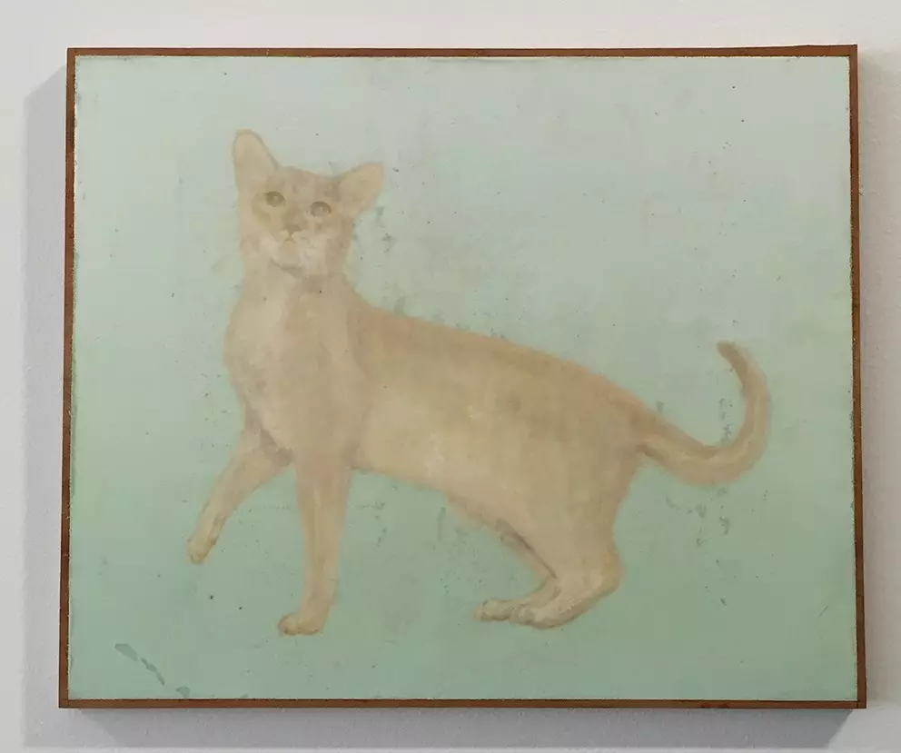 Melanie Smith, Gato 4 (2015). Cortesia da Galeria Nara Roesler.