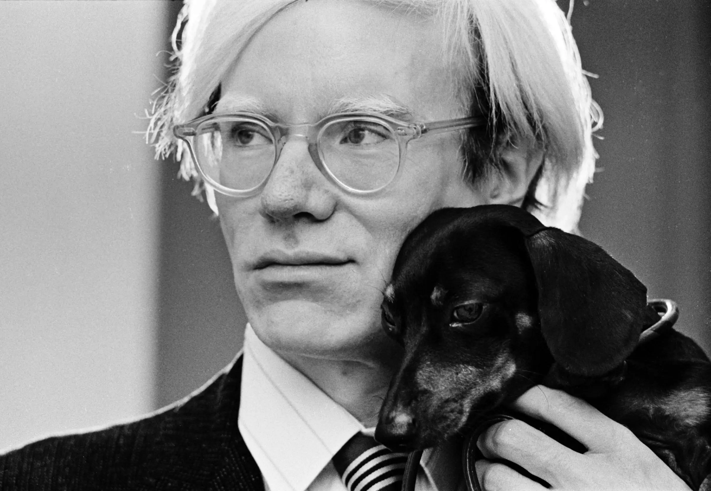 Andy Warhol era um defensor de espécies ameaçadas? Um olhar sobre o artista pop como você nunca viu antes