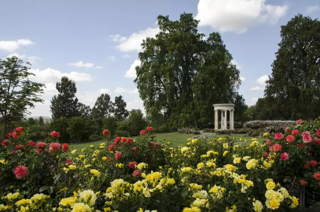 View nan Rose Garden. Koutwazi Bibliyotèk Huntington, Art Museum, ak Botanical Gardens.