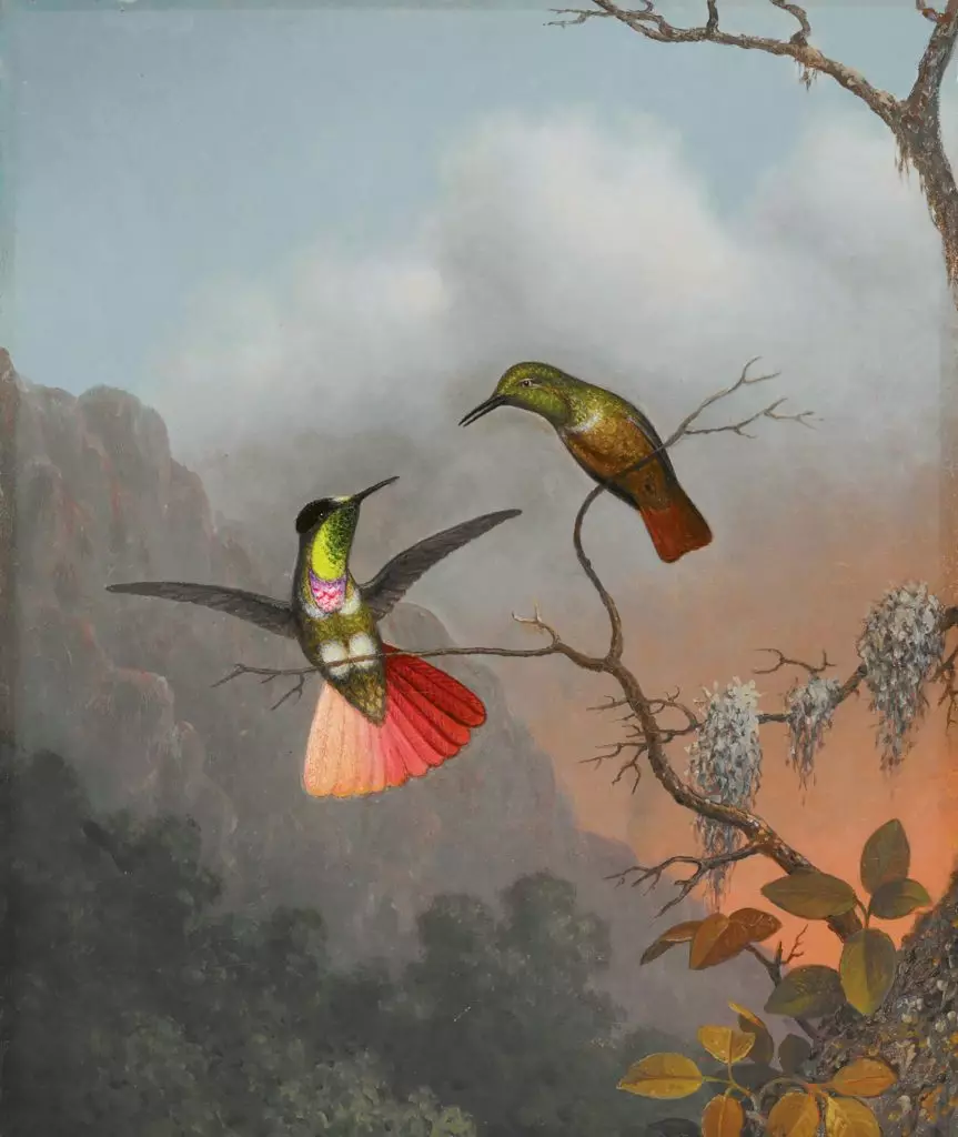 Martin Johnson Heade, Visorbearer cu glugă (cca. 1863-1864). Colecția Crystal Bridges Museum of American Art, Bentonville, Arkansas.