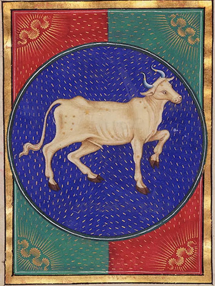 Taurus From a Book of Hours (G14, f.6) இத்தாலி, ஒருவேளை மிலன் பதினைந்தாம் நூற்றாண்டின் மூன்றாம் காலாண்டு. மோர்கன் லைப்ரரி & மியூசியத்தின் உபயம்.