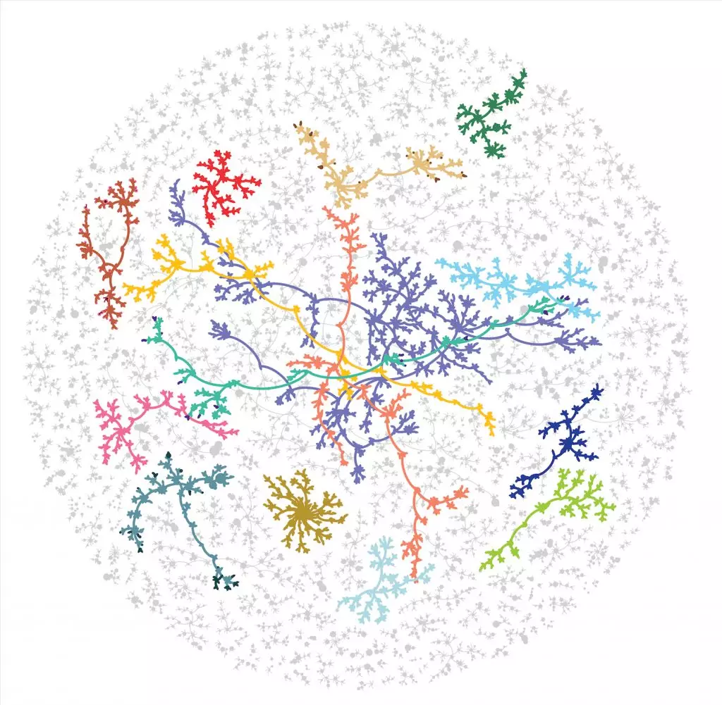 Mapa da rede dos 204 clústeres de artistas que xurdiron durante os primeiros 100 días da Fundación, que mostra cales artistas convidaron a outros á plataforma. Os 20 grupos máis grandes segundo a cantidade de artistas móstranse nunha cor diferente, con cada nodo correspondente a un único artista e o tamaño de cada nodo correspondente ao volume de vendas dese artista. Visualización por Barabási Lab. Cortesía de Barabási Lab.