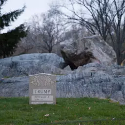 Hunermend Dîwar Li dora Donald Trump Stêrka Hollwood ava dike - 7269_4