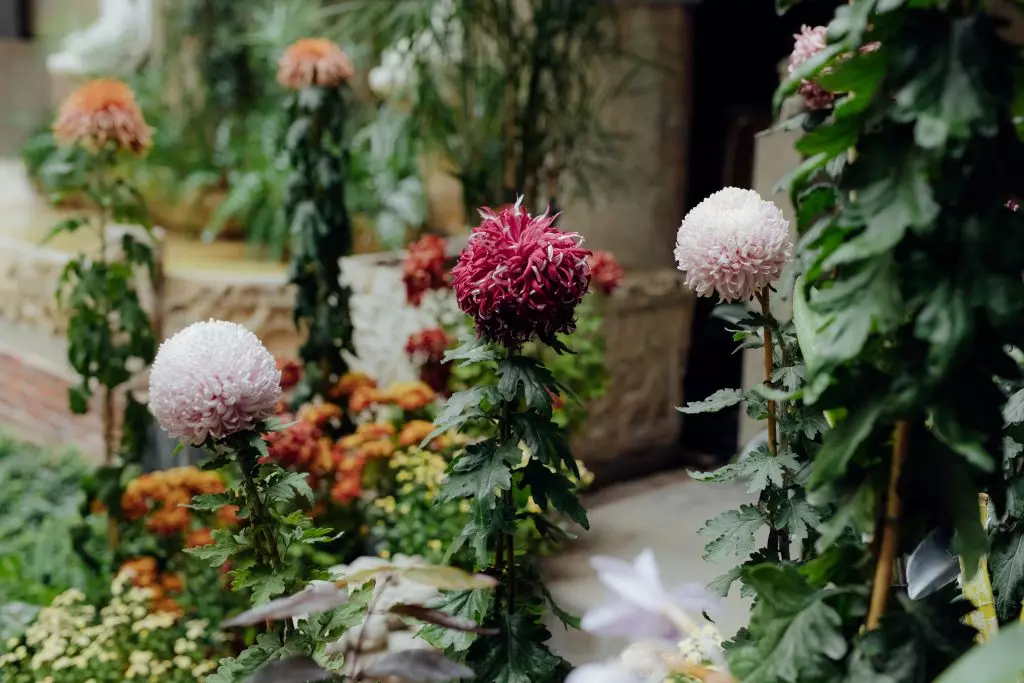 Foto troch Ally Schmaling en it Isabella Stewart Gardner Museum.