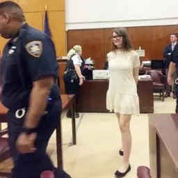 A golpista do Art-World Anna Delvey foi condenada a quatro a doze anos de prisão 8224_2