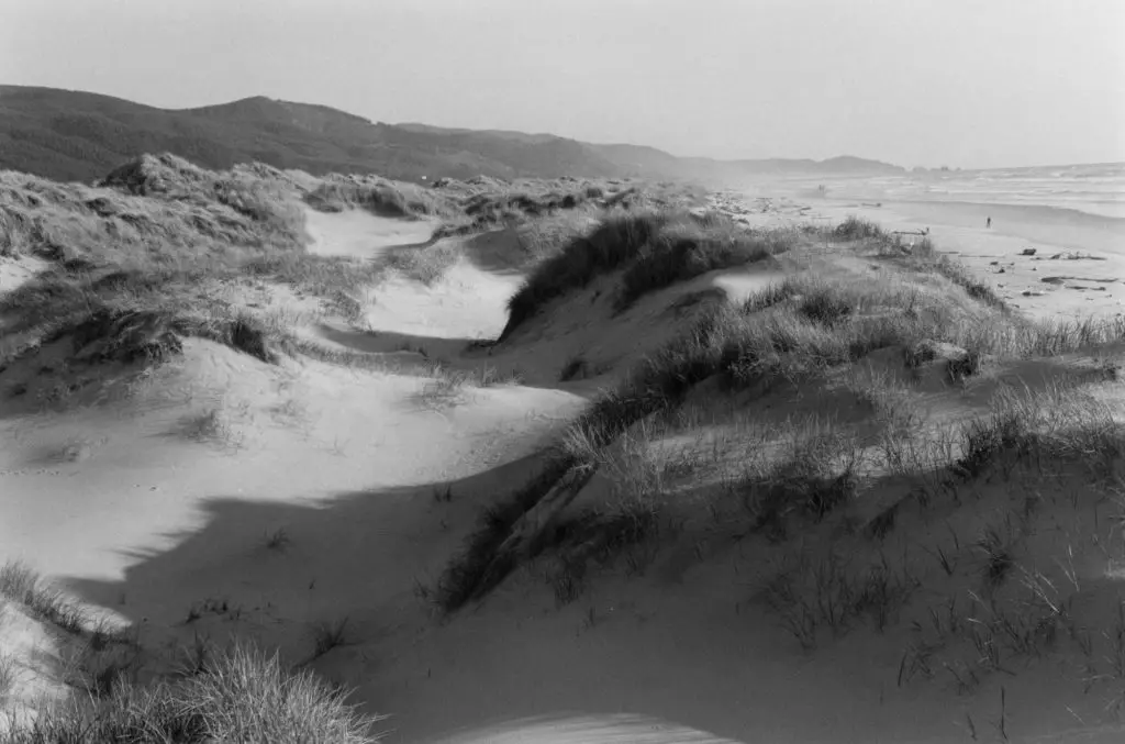 Robert Adams, Nehalem Spit, Oregon (2009). Mit freundlicher Genehmigung der Galerie Fraenkel.