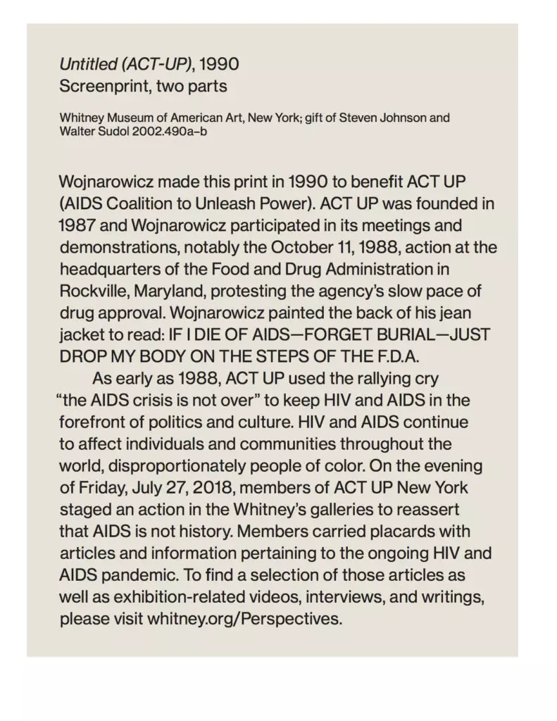 ACT UP ဆန္ဒပြမှုအပြီးတွင်၊ Whitney သည် David Wojnarowicz Wall Text အသစ်ဖြင့် လက်ရှိဖြစ်ပွားနေသော AIDS ကူးစက်ရောဂါကို အာရုံစိုက်လာခဲ့သည်။ 8480_2