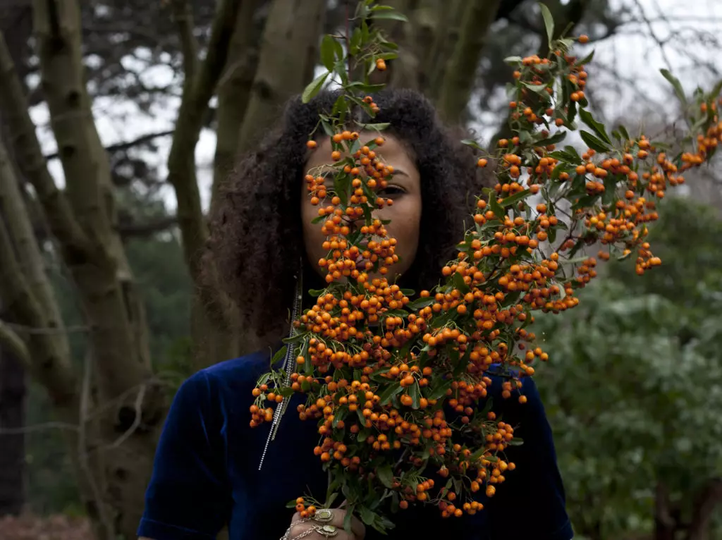 Zohra Opoku, Pyracantha (2015). Pieklājīgi Mariane Ibrahim Gallery.