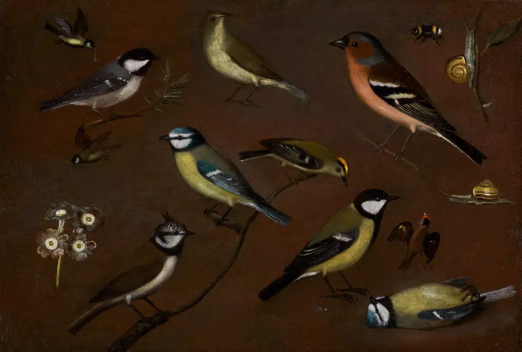 Orsola Maddalena Caccia, Toujou lavi nan zwazo, ki gen ladan yon tit marekaj, chiffchaff, chaffinch, tit ble, goldrest, lapwing ak yon tit gwo. Koutwazi Sotheby's London.